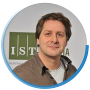 Austrian Bioimaging | MSI