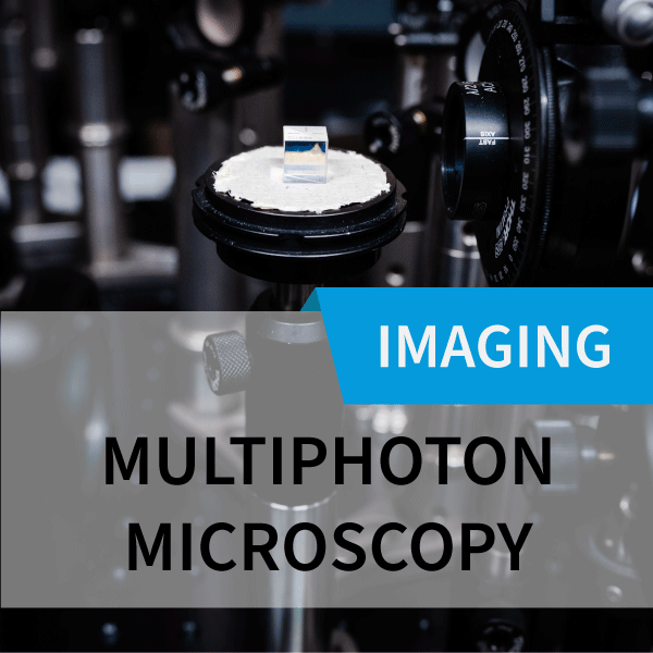 Austrian Bioimaging | Multiphoton-microscopy